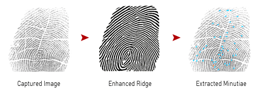 Suprema's Fingerprint Algorithm