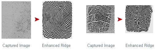 Suprema's Fingerprint Algorithm