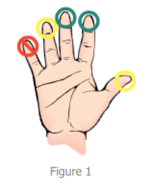 Fingerprint Enrollment Guide - BioConnect