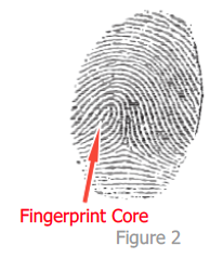 Fingerprint Enrollment Guide - BioConnect